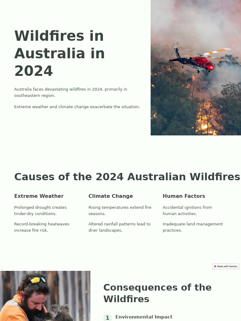Wildfires in Australia in 2024 | PDF | Home & Garden