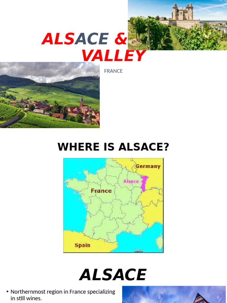 Alsace AOP: Pinot Blanc & Auxerrois Blend | PDF | Fermented Drinks ...