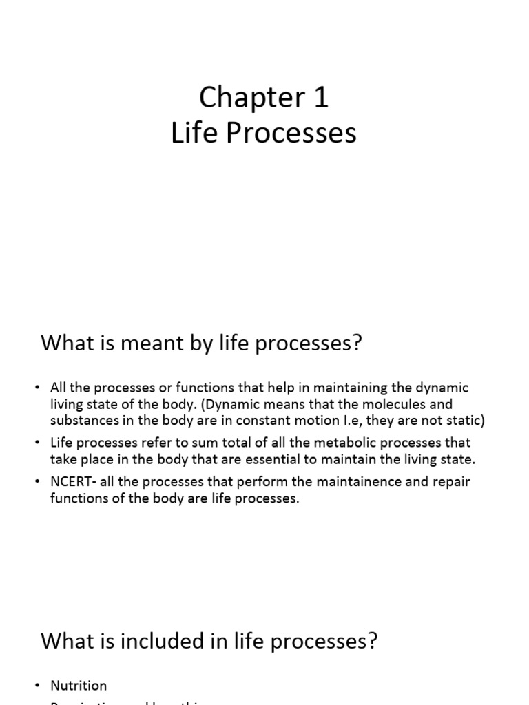 chapter 1 part 1 | PDF | Stoma | Photosynthesis