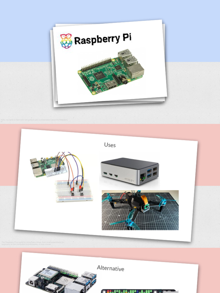 LIZANO Raspberry | PDF
