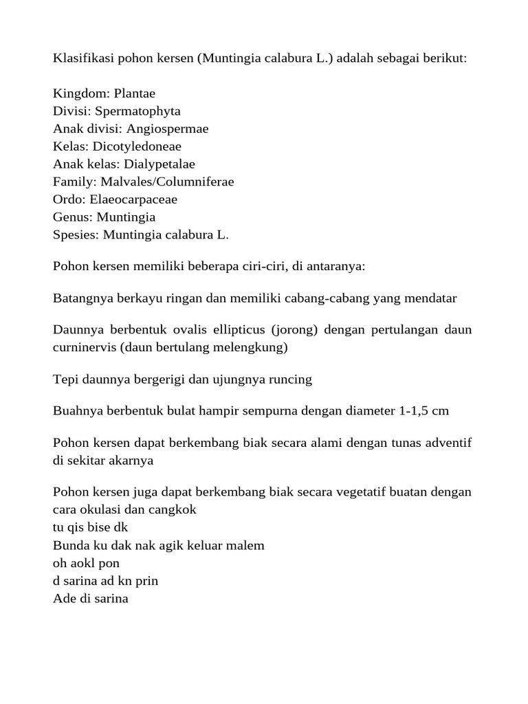 Klasifikasi dan Ciri Pohon Kersen | PDF