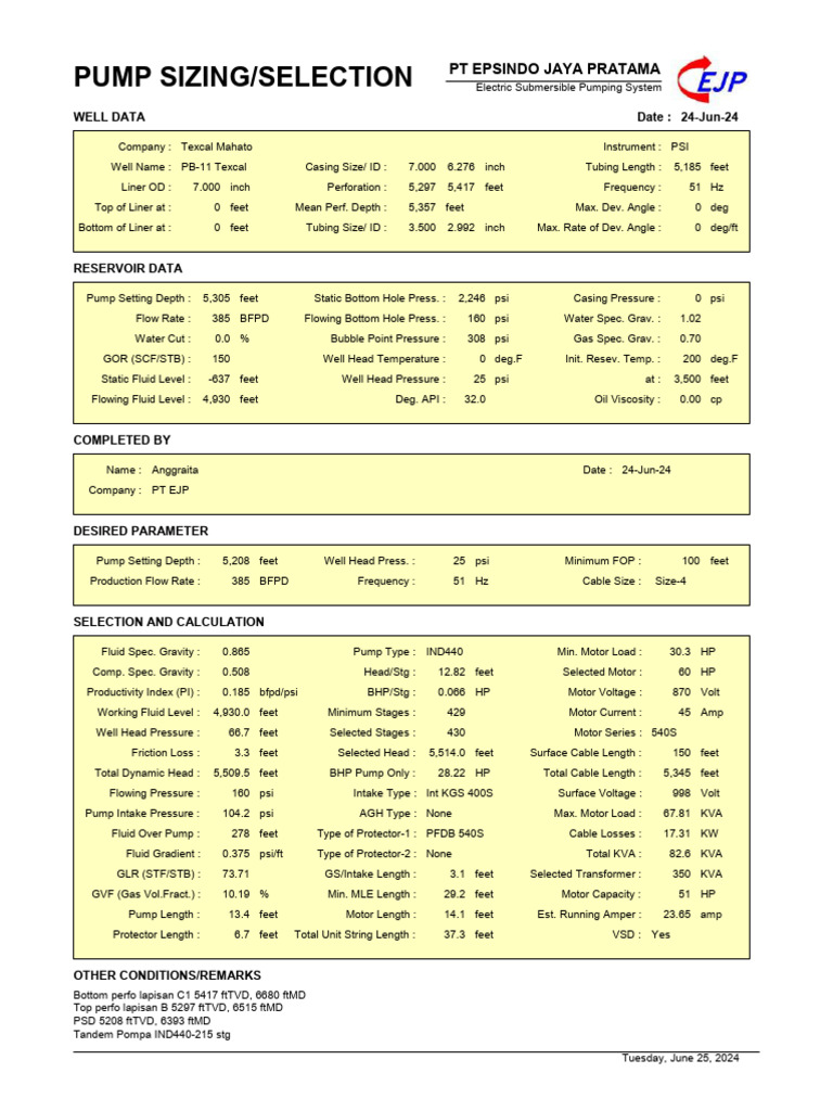 Texcal Mahato Pump Sizing Details | PDF | Pump | Pressure