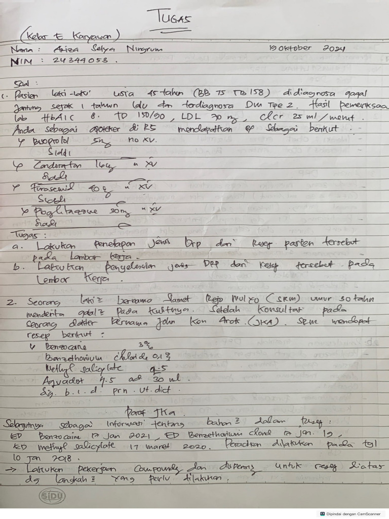 Ariza Setya Ningrum - 24344053 | PDF