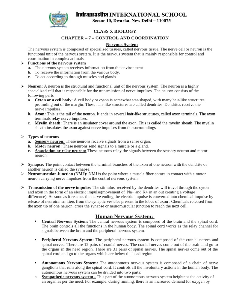X - Biology - Control and Coordination - Notes | PDF | Nervous System ...