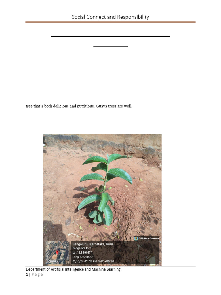 Report For SCR Activity 1 (Plantation) | PDF | Plantation | Trees