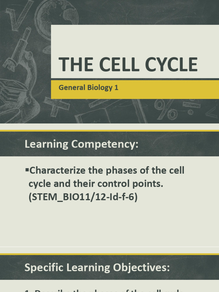 The Cell Cycle | PDF | Cell Cycle | Mitosis