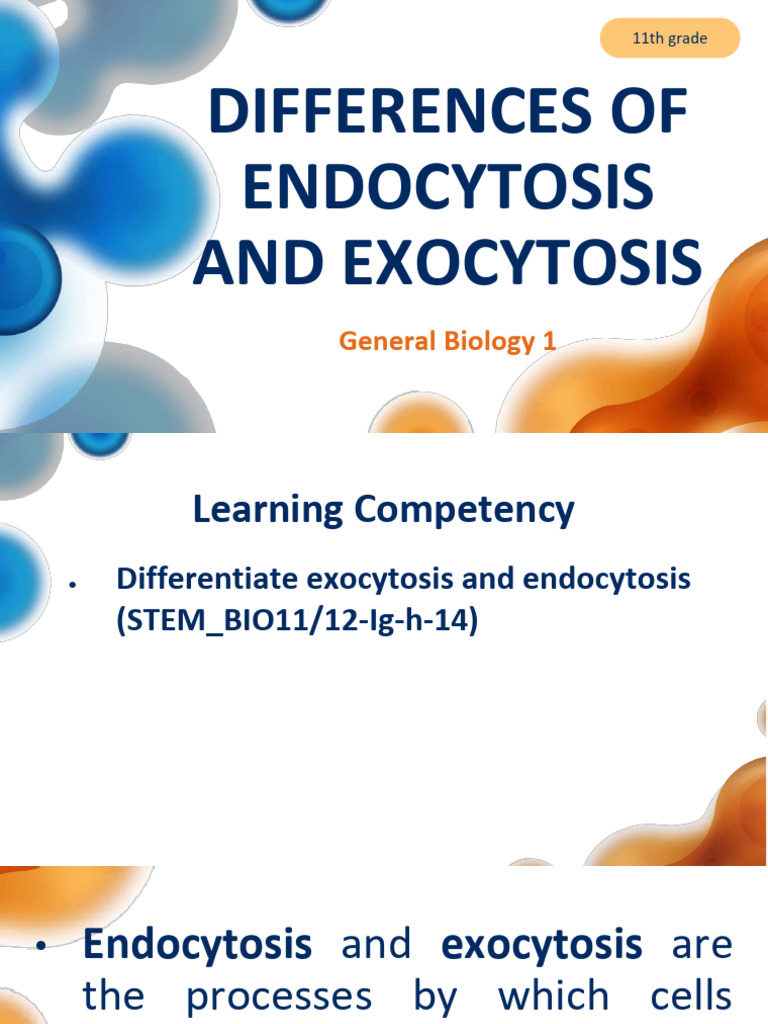 EXO VS ENDO | PDF | Cell Membrane | Vesicle (Biology And Chemistry)