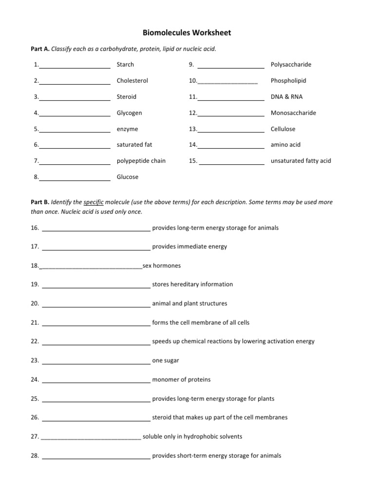 BIOMOLECULES WORKSHEET | PDF | Biomolecules | Polysaccharide