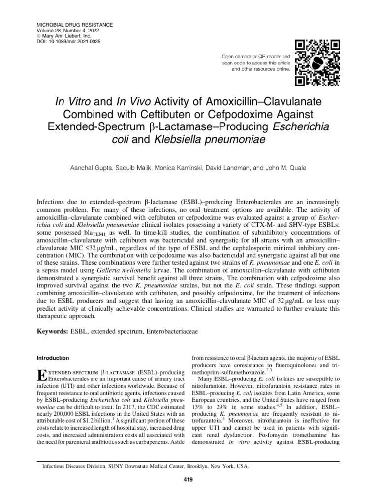 Gupta Et Al 2022 in Vitro and in Vivo Activity of Amoxicillin ...