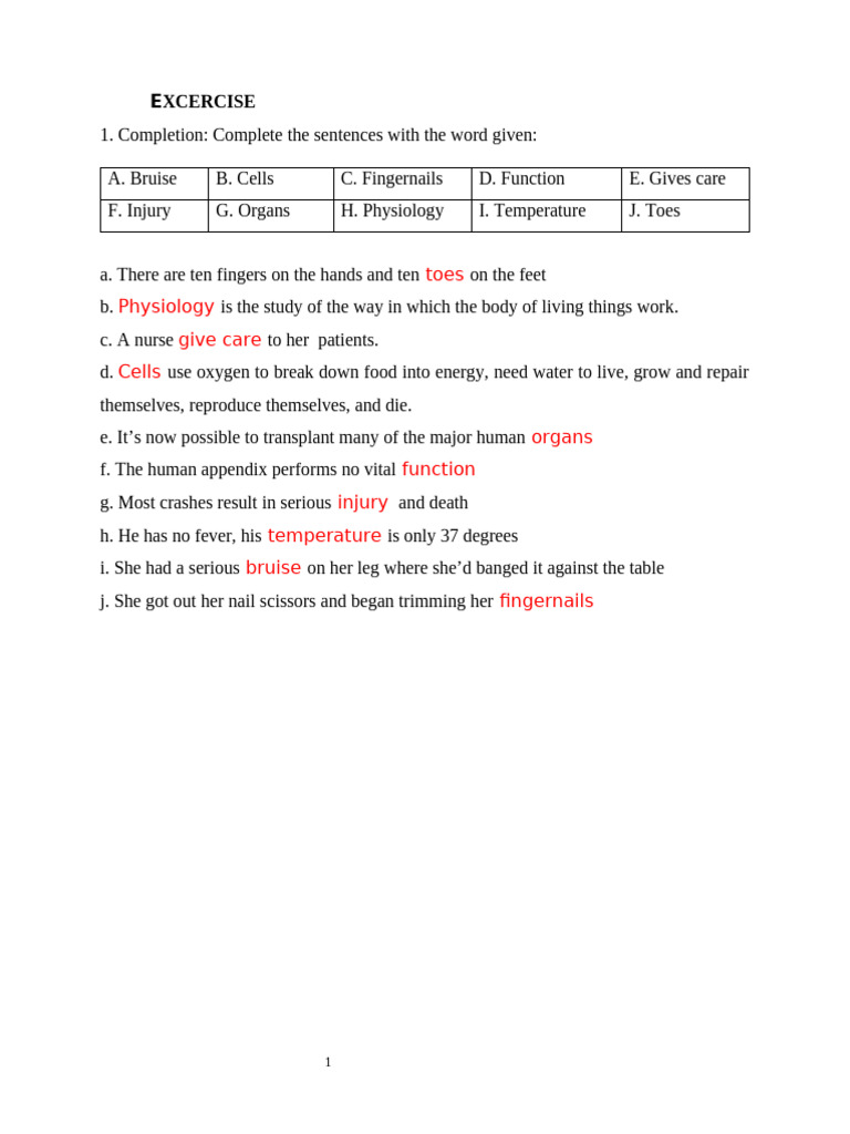 EXCERCISE | PDF | Nail (Anatomy) | Skin