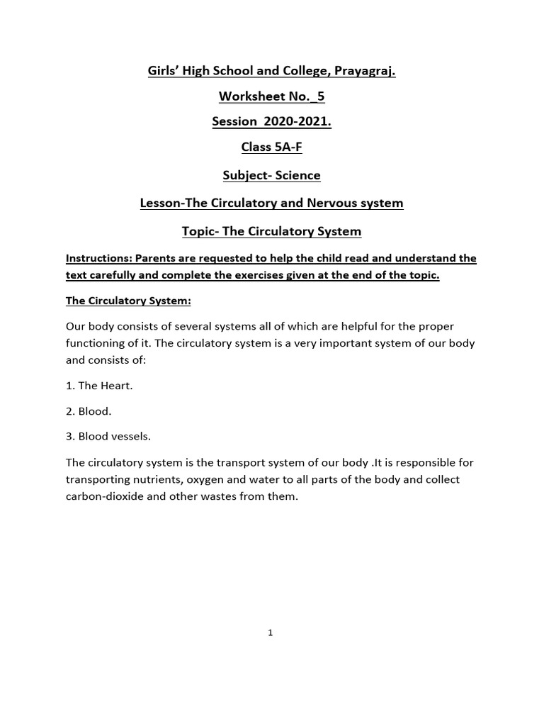 SCIENCE CLASS 5 Worksheet 5 | PDF | Blood Vessel | Artery