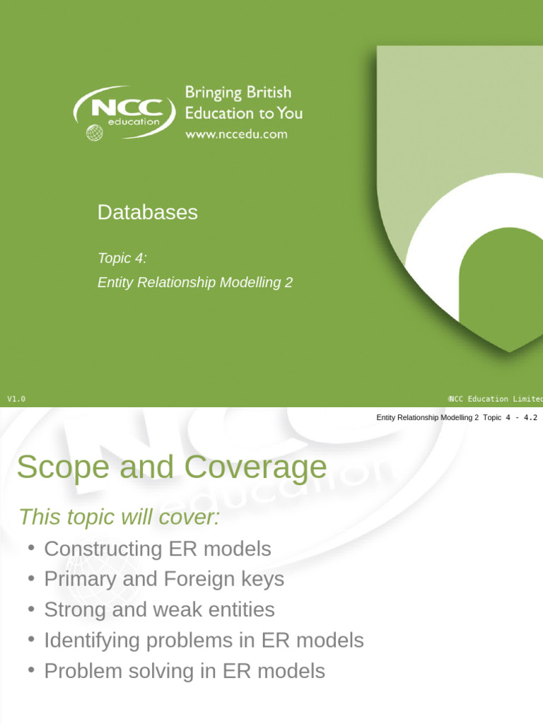 DB Topic 4 | PDF | Databases | Data Management