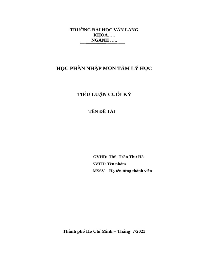 Mau Bai Tieu Luan Cuoi Ky | PDF