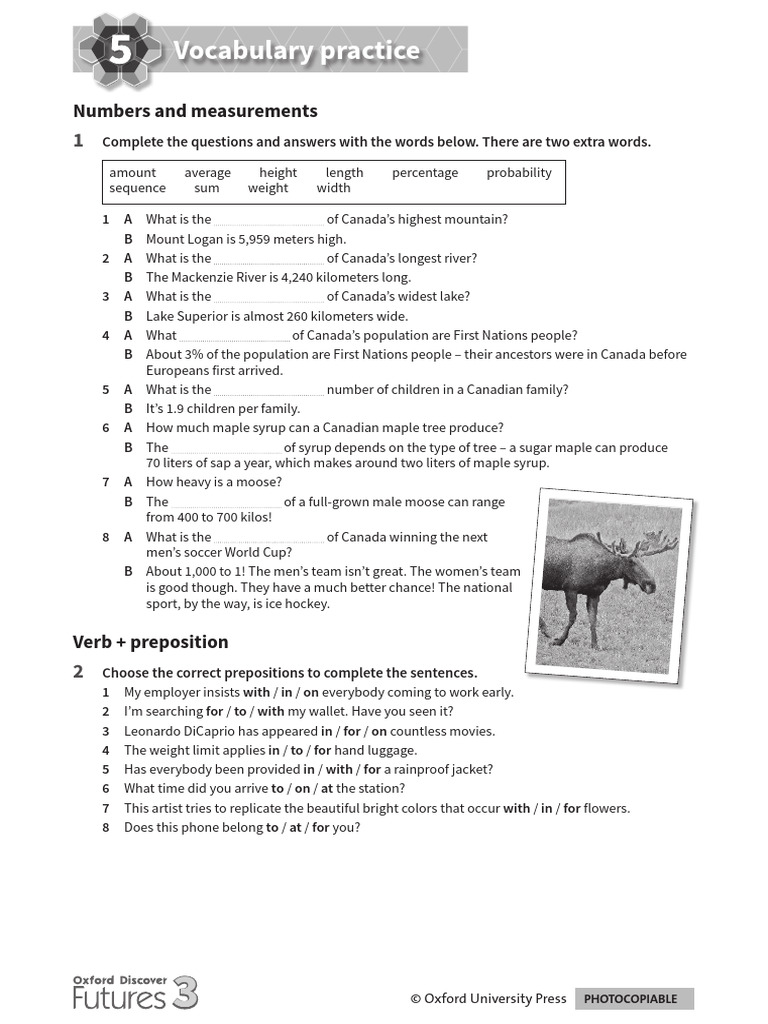 ODF3A Unit 5 Vocabulary Practice | PDF | Rainbow