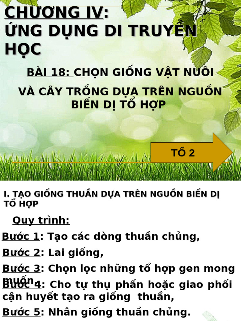 Bai 18 Chon Giong Vat Nuoi Va Cay Trong Dua Tren Nguon Bien Di To Hop | PDF