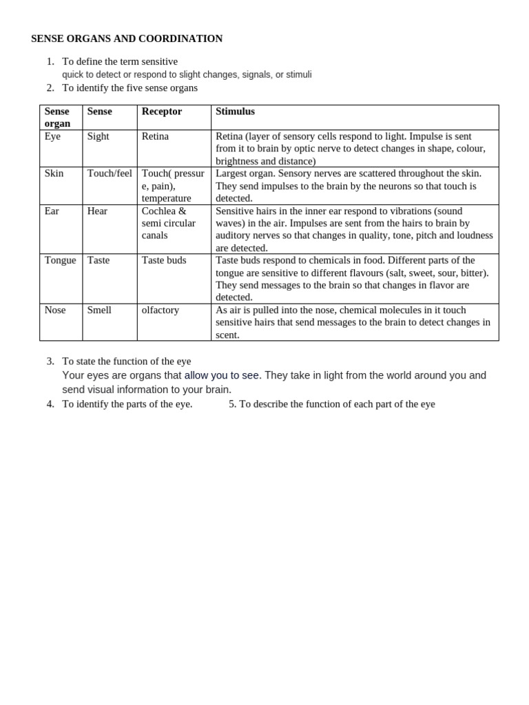 3rd Form SENSE ORGANS AND COORDINATION | PDF | Senses | Eye