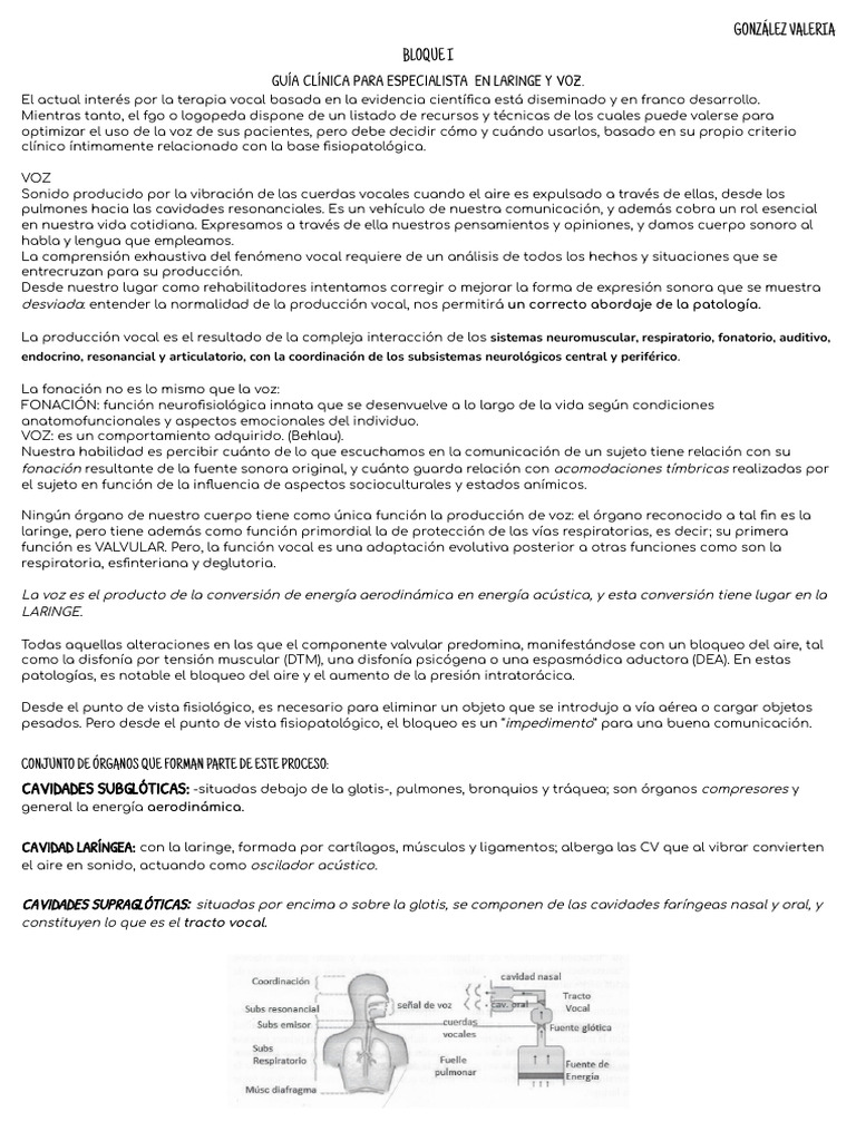 Bloque 1 y 2 - Fonacion II 2022 | PDF | Sonido | Laringe