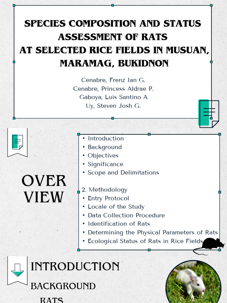 Species Composition and Status Assessment of Rats PPT 1 | PDF ...