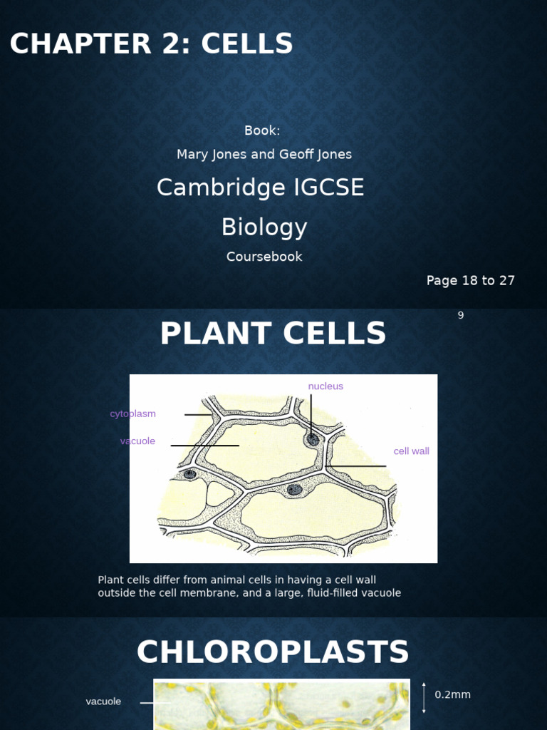 Cells 2 | PDF