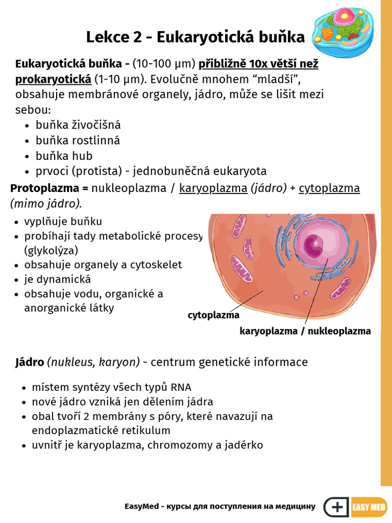 Lekce 2 - eukaryotická buňka (2) 2 | PDF