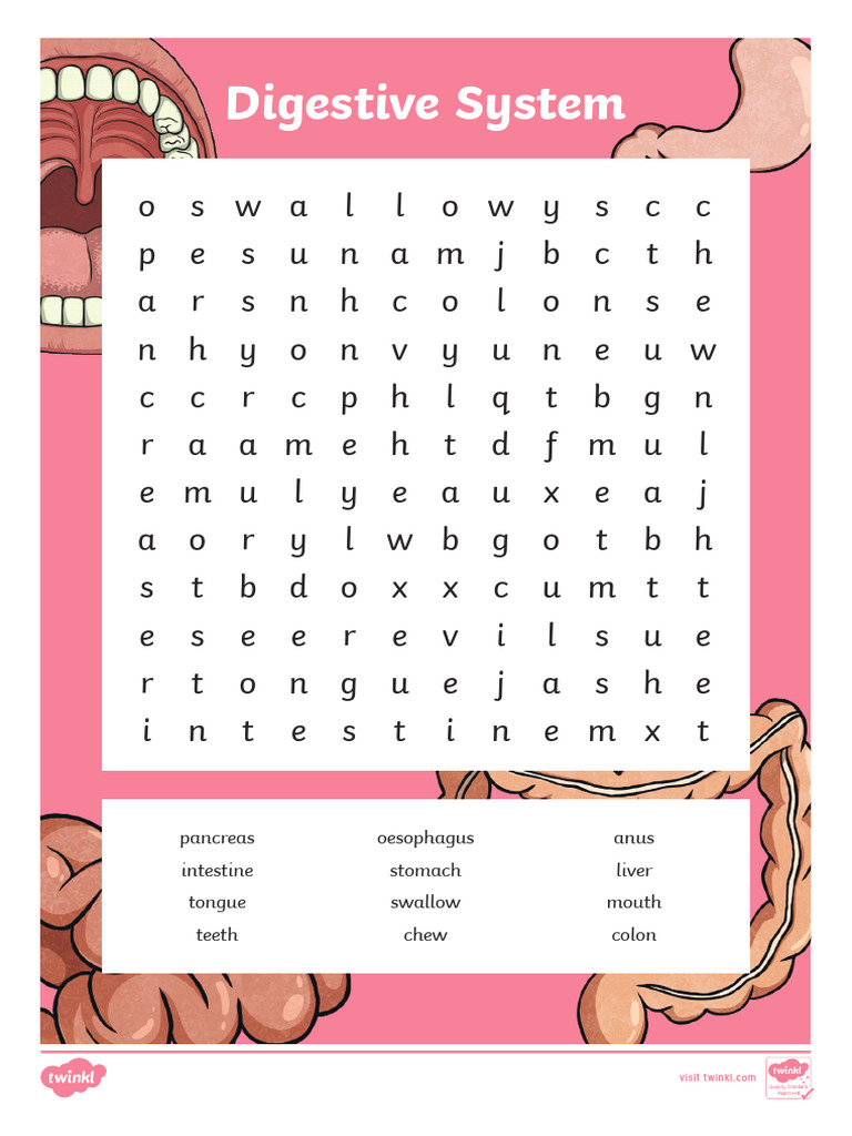 t2 s 853 Digestive System Word Search Ver 1 | PDF