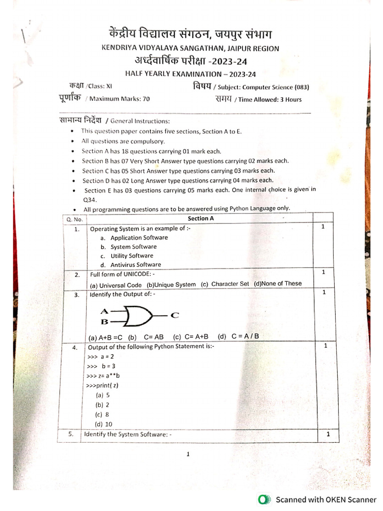 CS Class 11 2024 | PDF