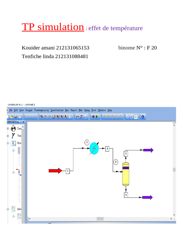 TP Simulation | PDF