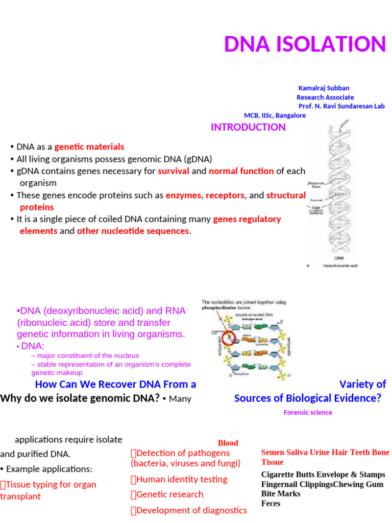 DNA Isolation - Nucleic Acid Digestion and Ligation | PDF | Dna Ligase ...