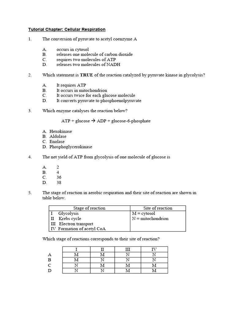 Cellular Respiration Tutorial Guide | PDF | Cellular Respiration ...