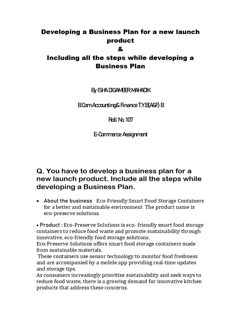 Developing A Business Plan For A New Launch Product | PDF | Product ...