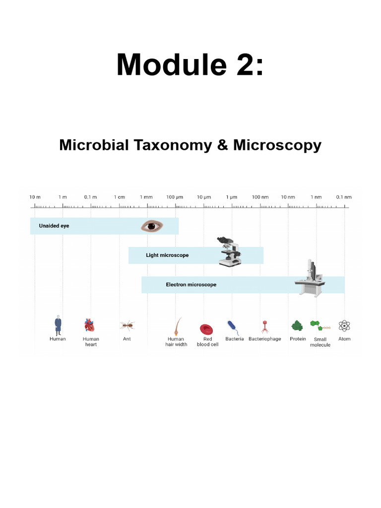 Module 2 - Taxonomy & Microscopy (Notes) | PDF | Microscope | Staining