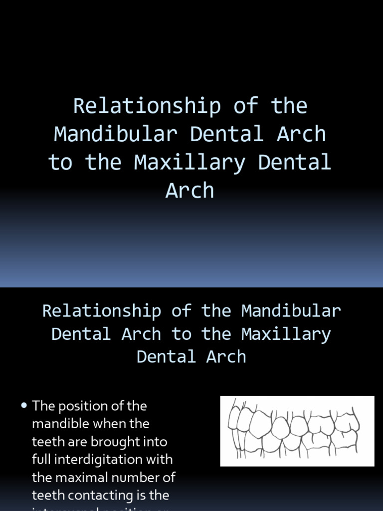 (6)Relationship of Mandibular Dental Arch to Maxillary Dental Arch ...