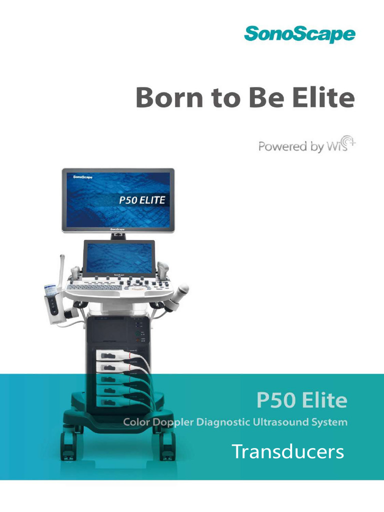 P50 Elite Transducer Brochure | PDF | Medical Ultrasound | Vein