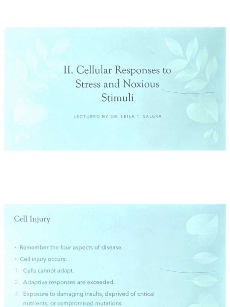 Cellular Responses To Stress and Noxious Stimuli | PDF