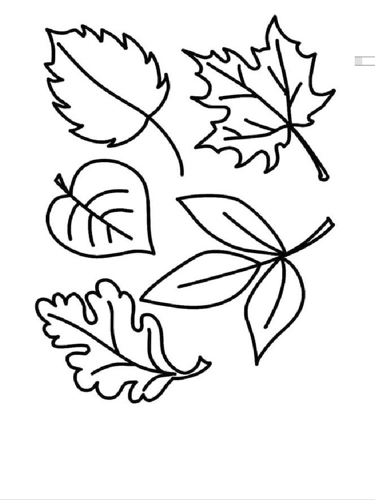 5 Autumn Leaves Coloring Page - Funny Coloring Pages | PDF