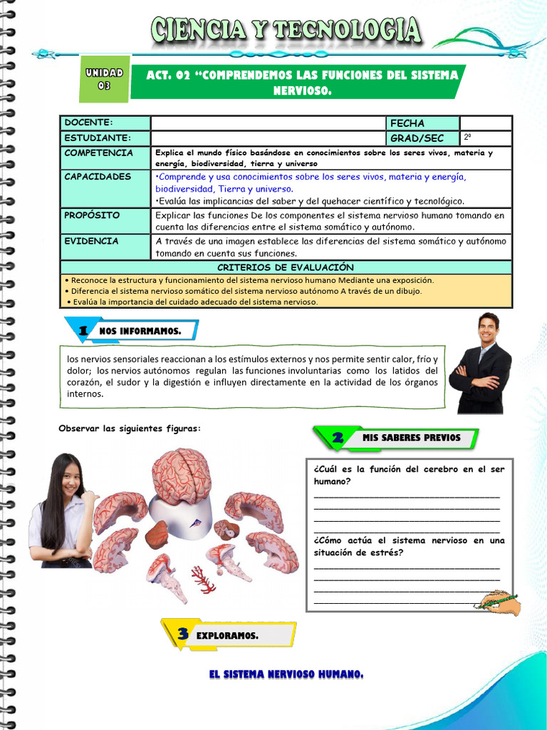 B-2º Act 2 Cyt Unid 3 - Sem 2 | PDF | Sistema nervioso | Cerebro