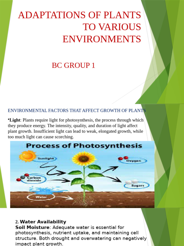 ADAPTATIONS OF PLANTS TO VARIOUS ENVIRONMENTS | PDF