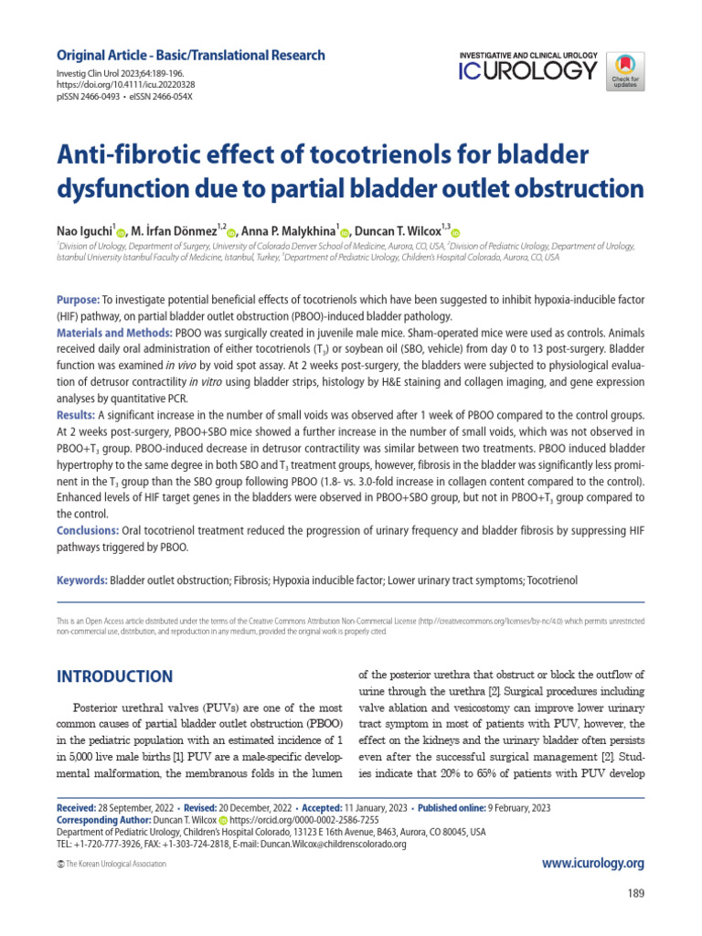 Anti-Fibrotic Effect of Tocotrienols For Bladder | PDF | Urinary System