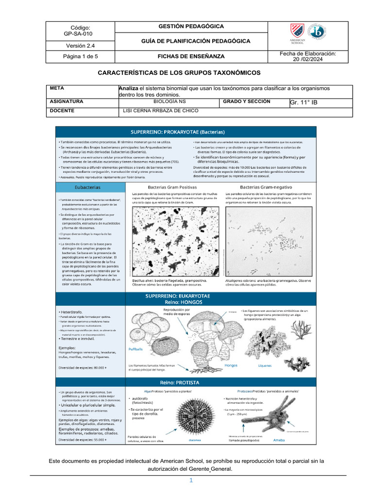 FE1 C2 Gr.11 IB 2024 | PDF | Ciencia y matemáticas