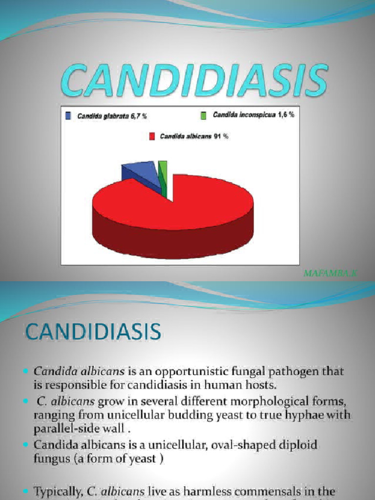 CANDIDA | PDF