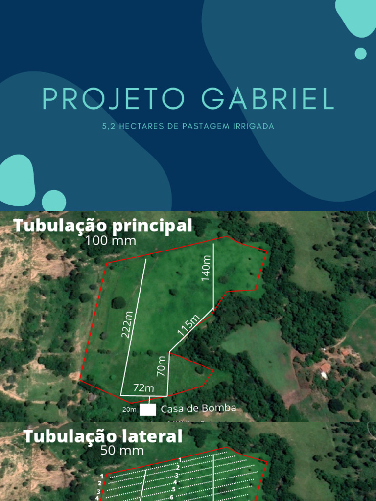 Projeto Gabriel | PDF