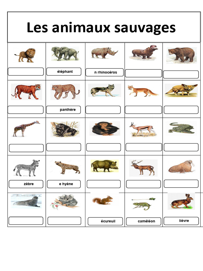 Liste des animaux sauvages et domestiques | PDF