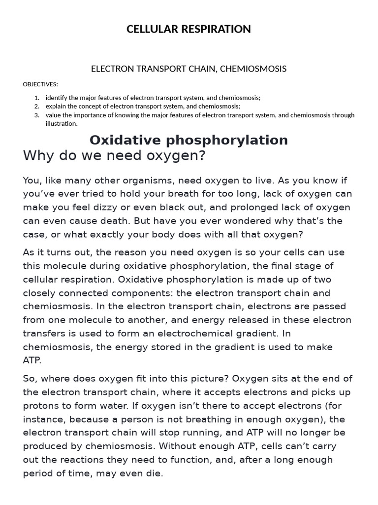 Topic 8. Cellular Respiration-Electron Transport Chain, Chemiosmosis ...