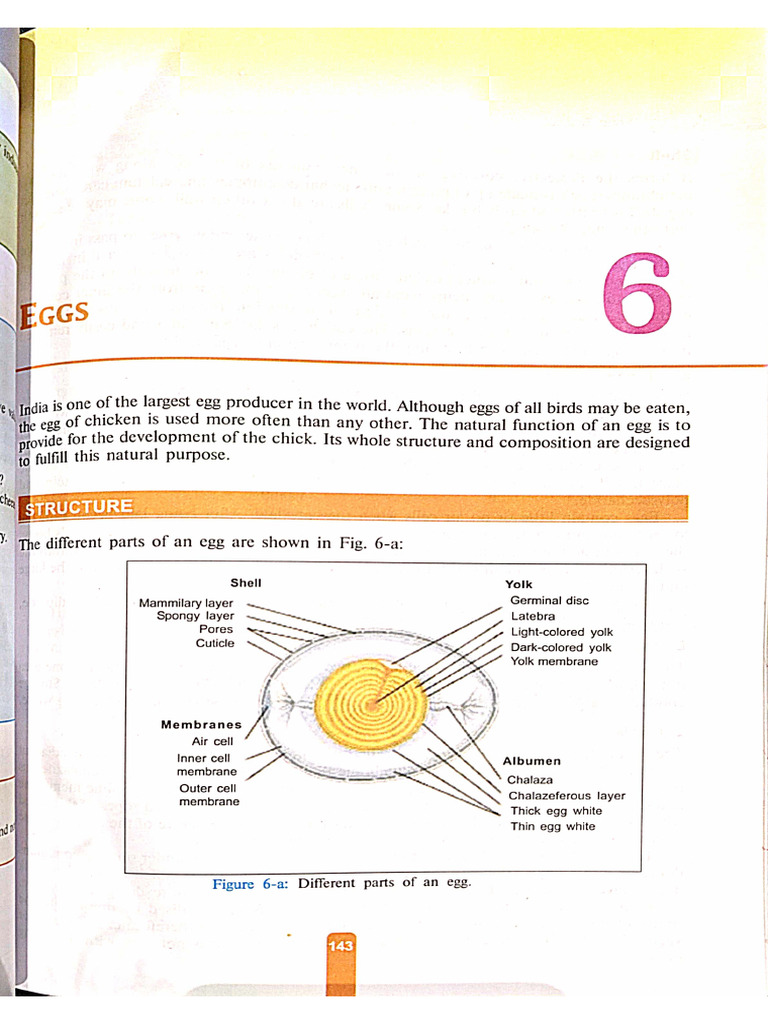 Egg Food Science Pdf