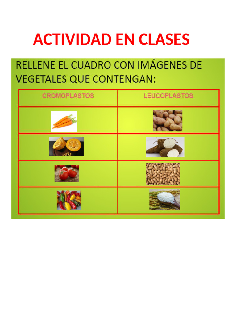 Actividad en Clases | PDF