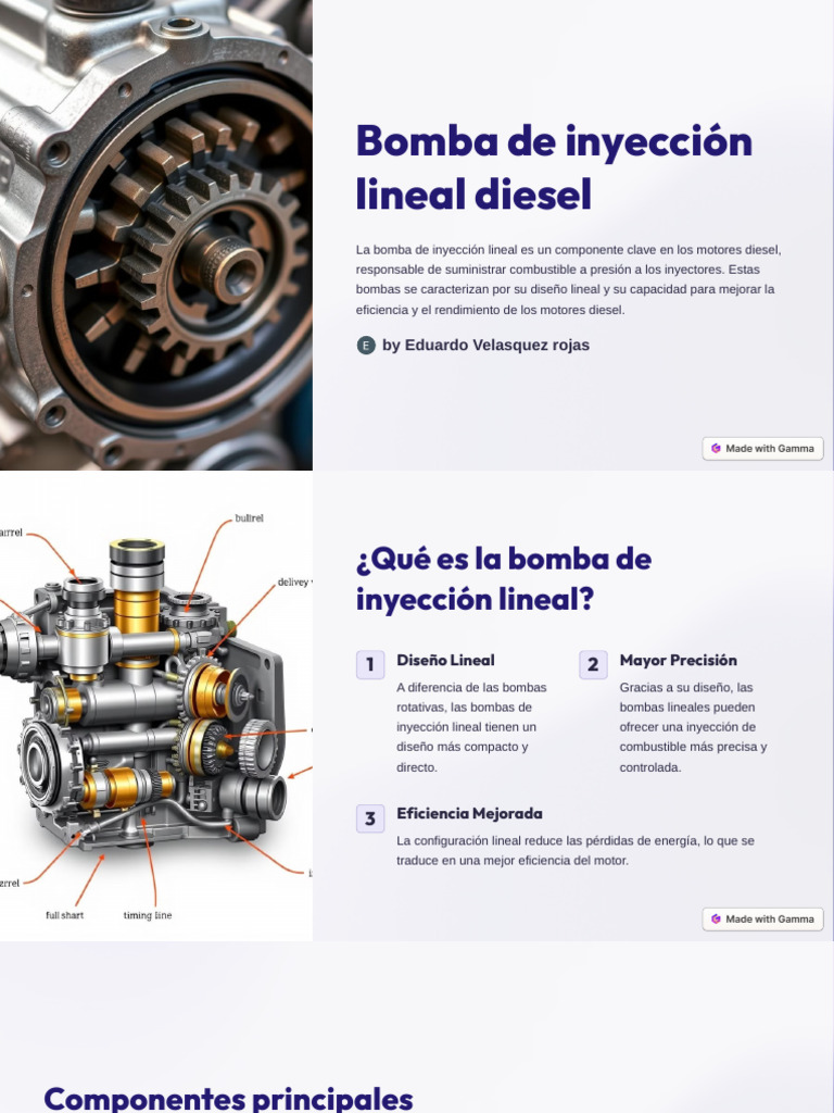 Bomba de Inyeccion Lineal Diesel | PDF | Inyección de combustible | Motor diesel