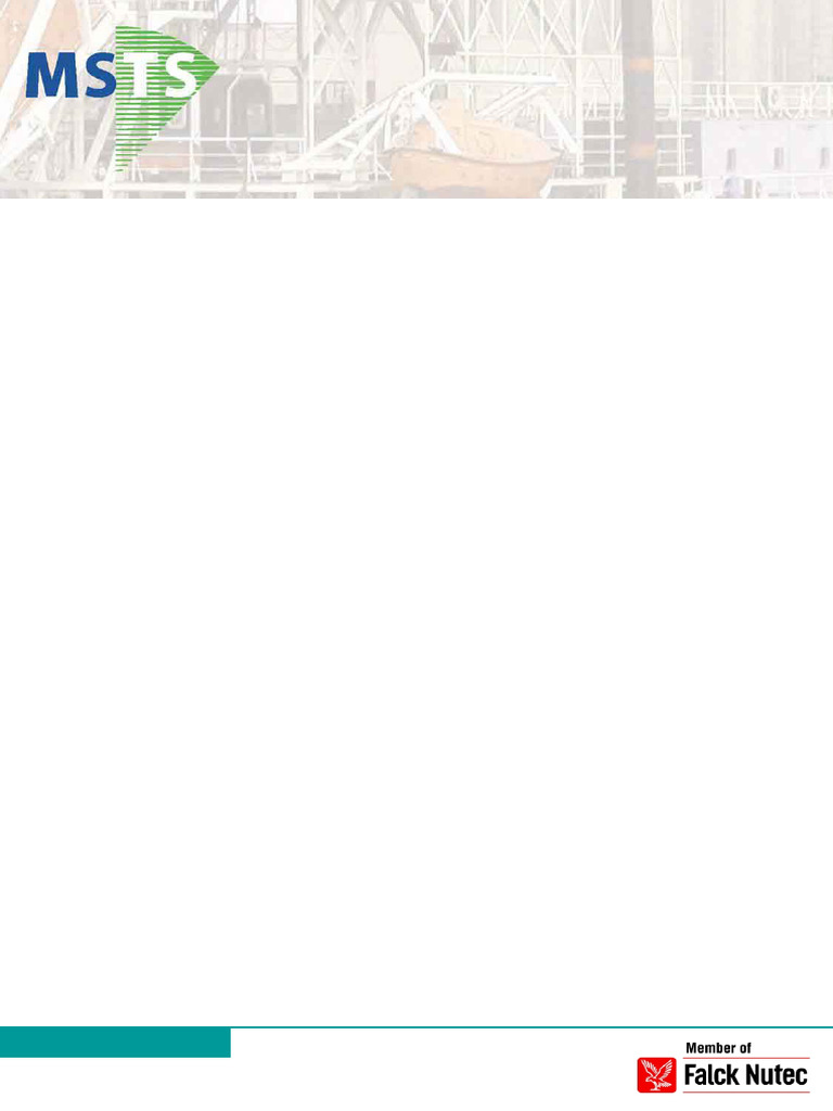 Authorized Gas Tester HS17 | PDF