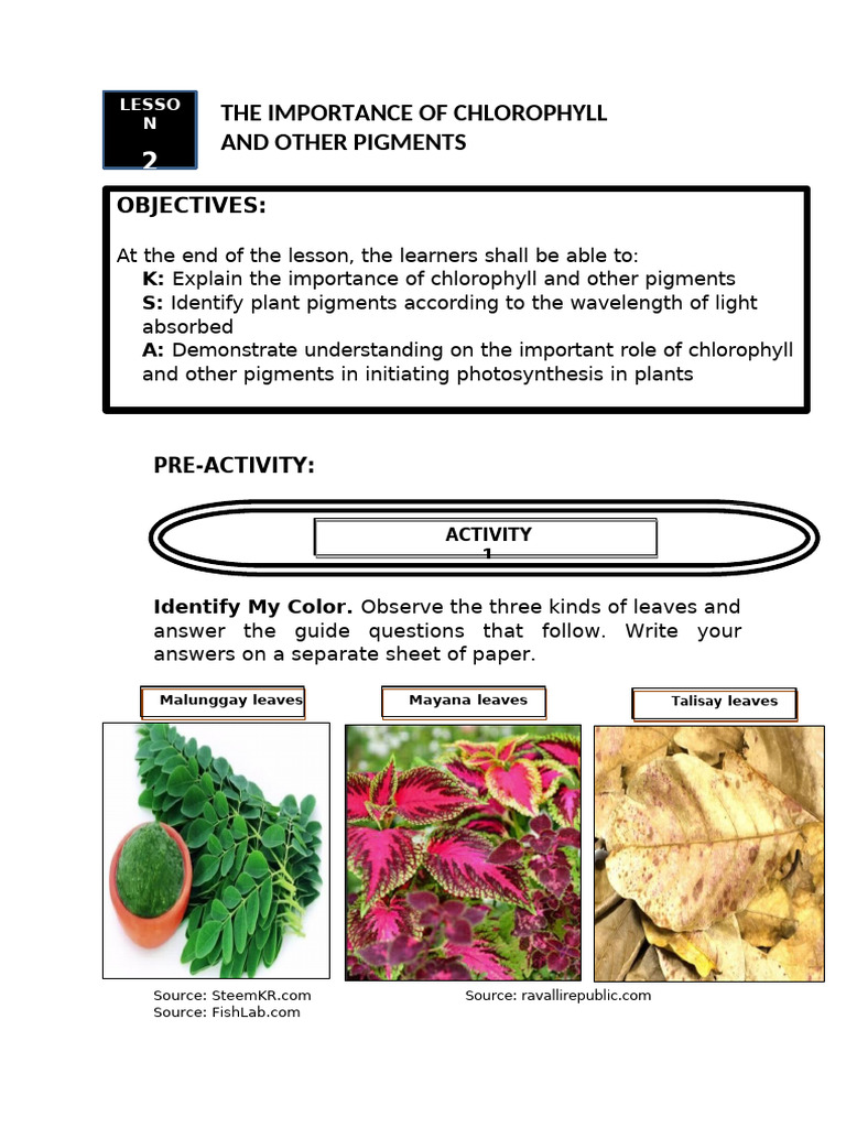 Topic 1. The Importance of Chlorophyll and Other Pigments | PDF ...
