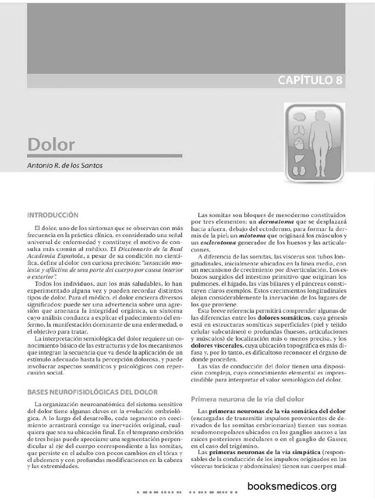 EL DOLOR | PDF