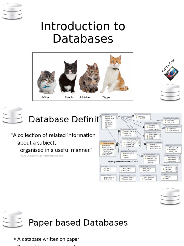 Introduction To Databases | PDF | Databases | Relational Database